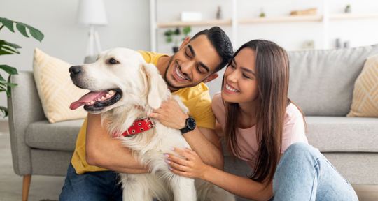Exposiciones de dinosaurios, eventos con toboganes y piscinas de bolas ...